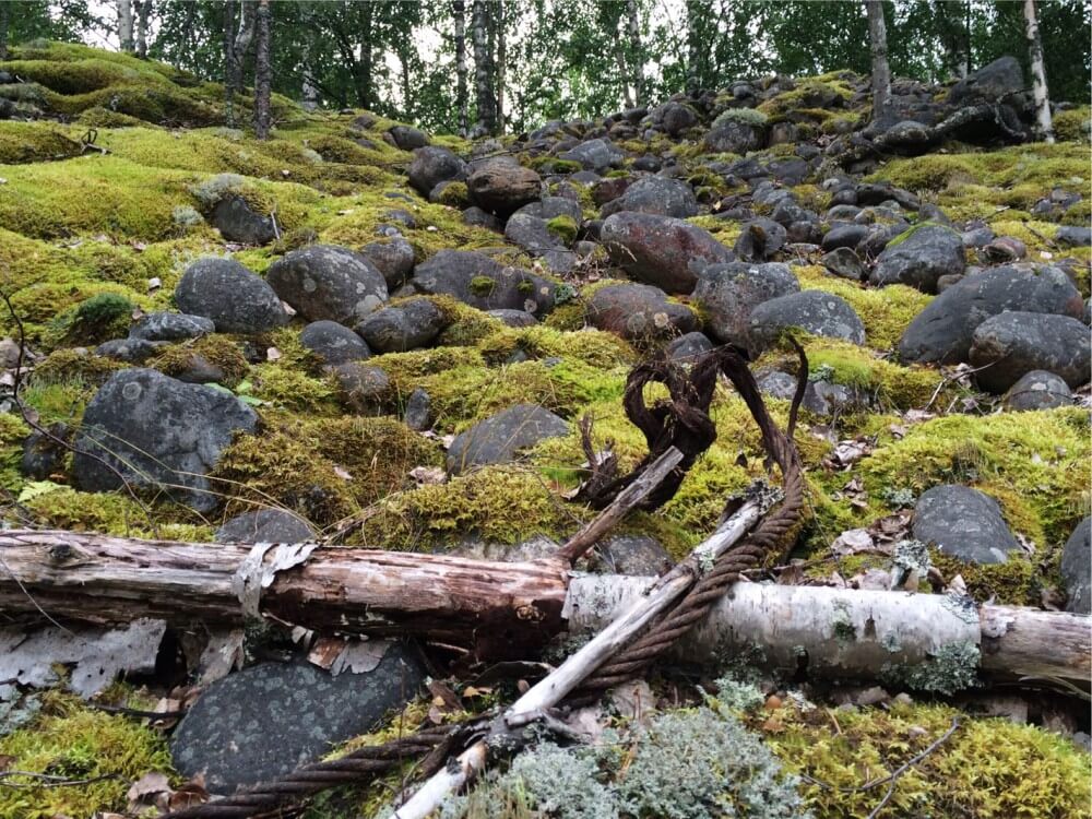 Sijainti ja lähialueet | LevonMajat, Onttola